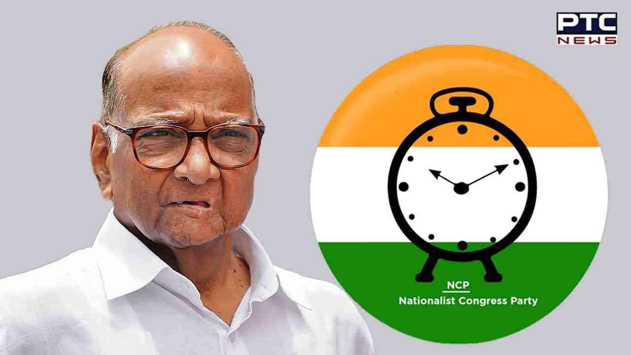Sharad Pawar takes back decision to resign as NCP chief | Politics - PTC News