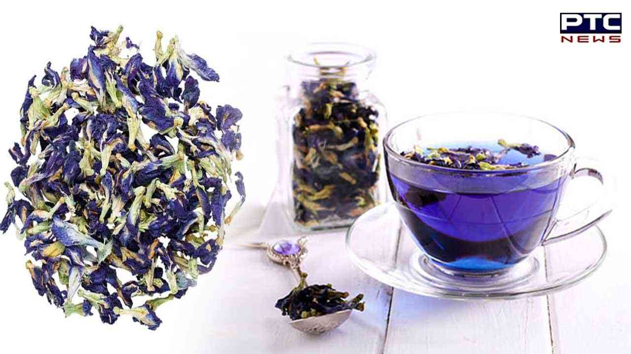 Blue Tea: ਅਪਰਾਜਿਤਾ ਦੇ ਫੁੱਲਾਂ ਤੋਂ ਬਣੀ ਨੀਲੀ ਚਾਹ ਪੀਣ ਨਾਲ ਹੋਣਗੇ ਇਹ ਫਾਇਦੇ ...