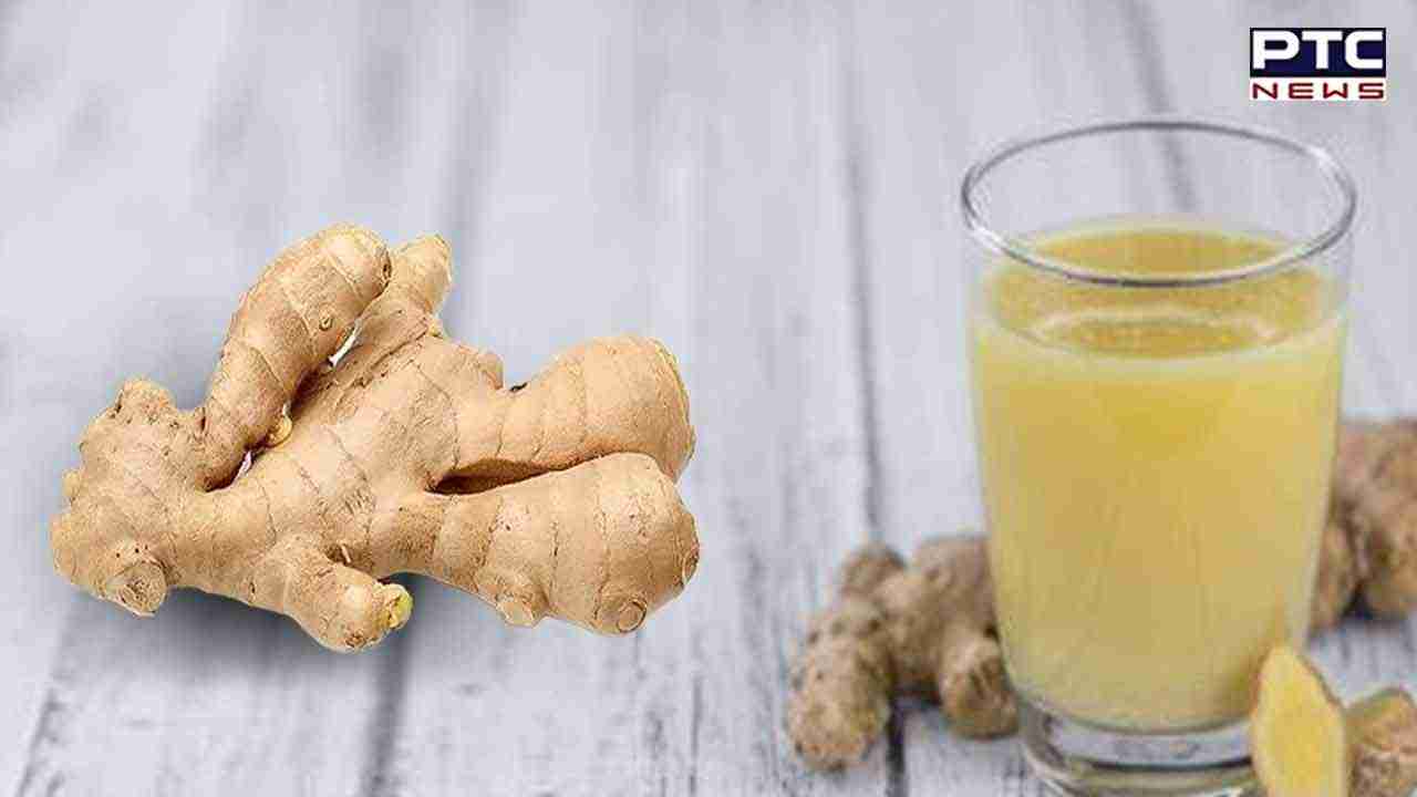Ginger Juice Benefits: ਜ਼ੁਕਾਮ ਅਤੇ ਖੰਘ ਨੂੰ ਦੂਰ ਕਰਨ 'ਚ ਮਦਦਗਾਰ ਹੈ ਅਦਰਕ ਦਾ ...