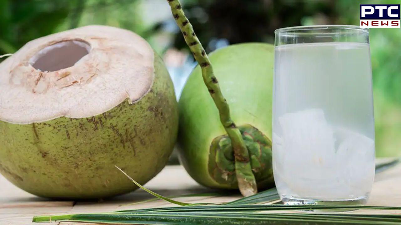 Health Benefits of Coconut Water | Web Stories - PTC News