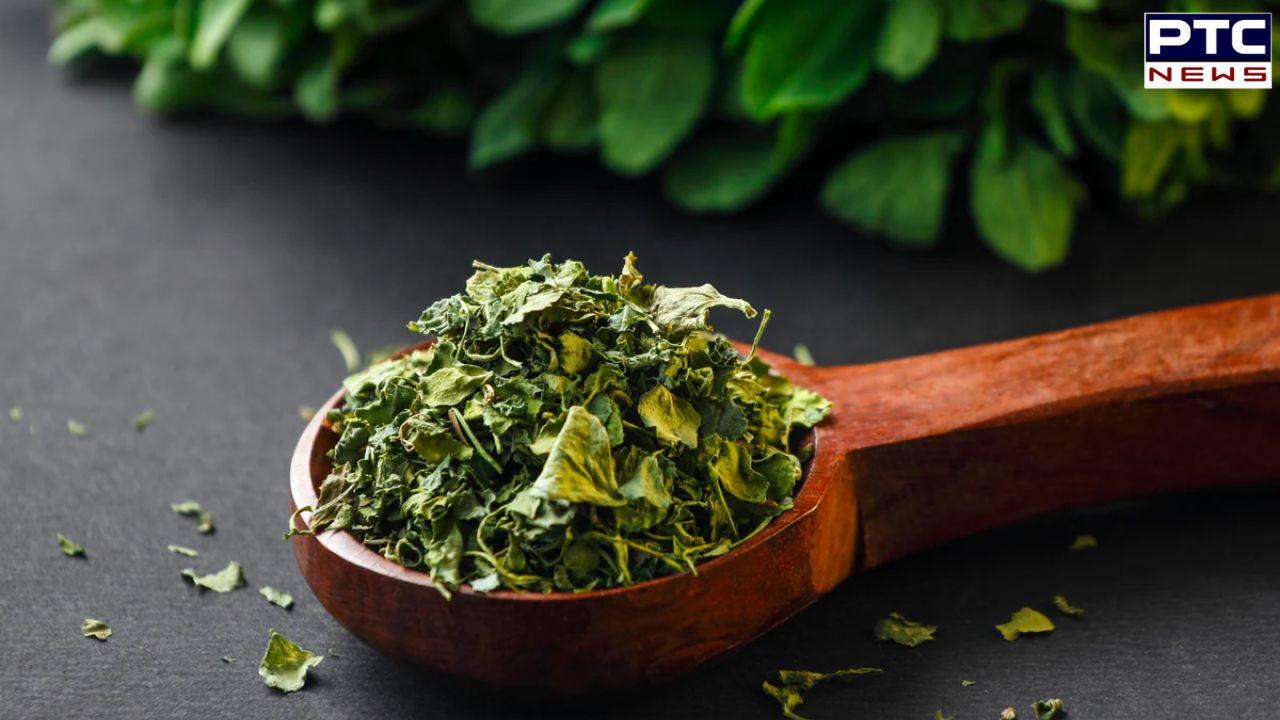 5 Awesome Substitutes For Kasoori Methi You Must Try | Web Stories ...