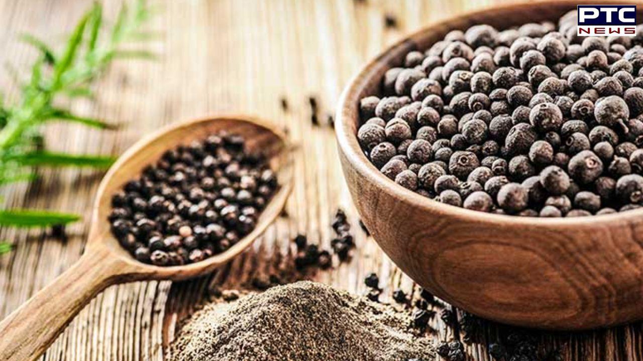 5 Benefits of Adding Kaali Mirch to Your Diet | Web Stories - PTC News