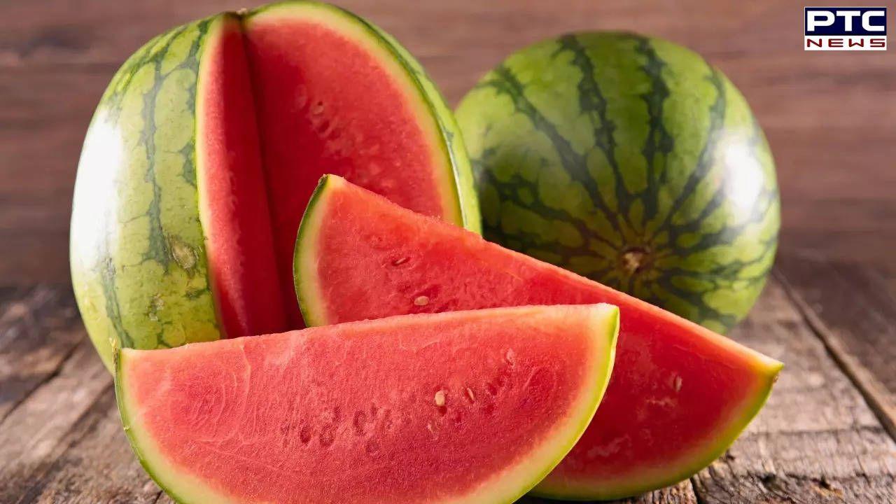 Is Your Watermelon Safe? How to Identify Injected Colors? | Web Stories ...