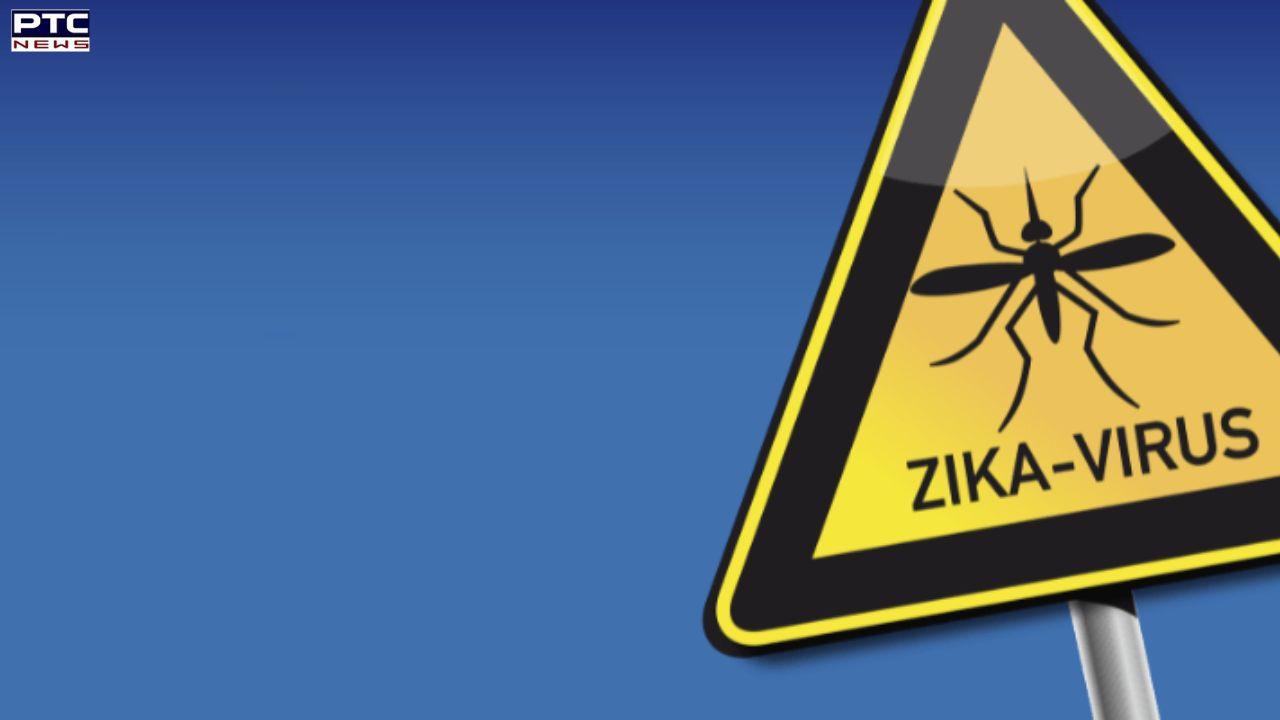 Zika Virus Alert: Key Symptoms You Need to Know | Web Stories - PTC News