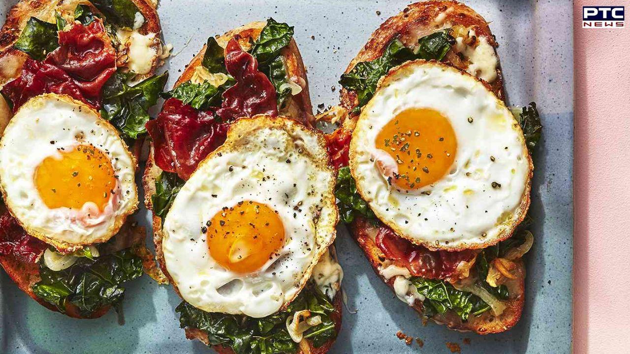 5 Protein-Rich Toast Ideas to Fuel Your Day | Web Stories - PTC News